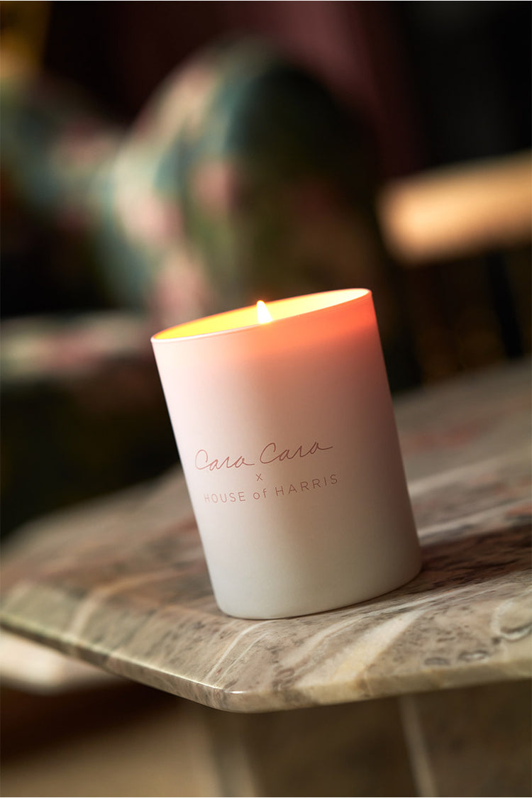 Home [caracaranyc.com]